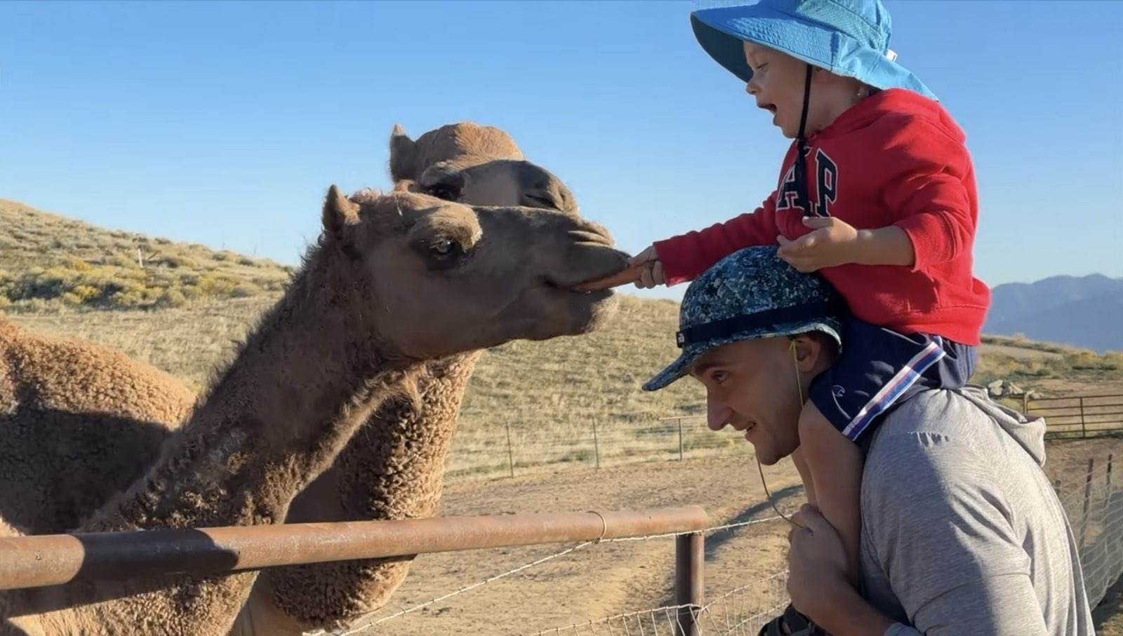 Book an Event - Lone Juniper Ranch