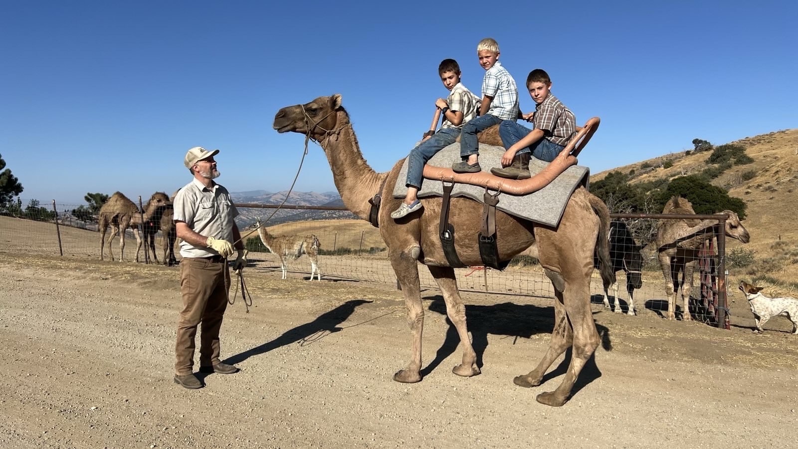 Animals - Lone Juniper Ranch